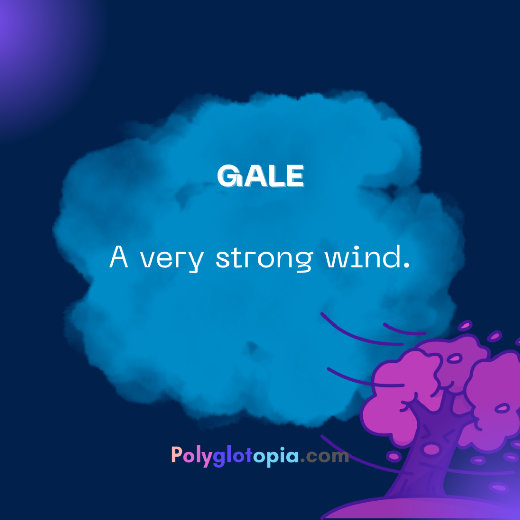 Weather vocabulary B1 - List Quiz - PolygloTopia